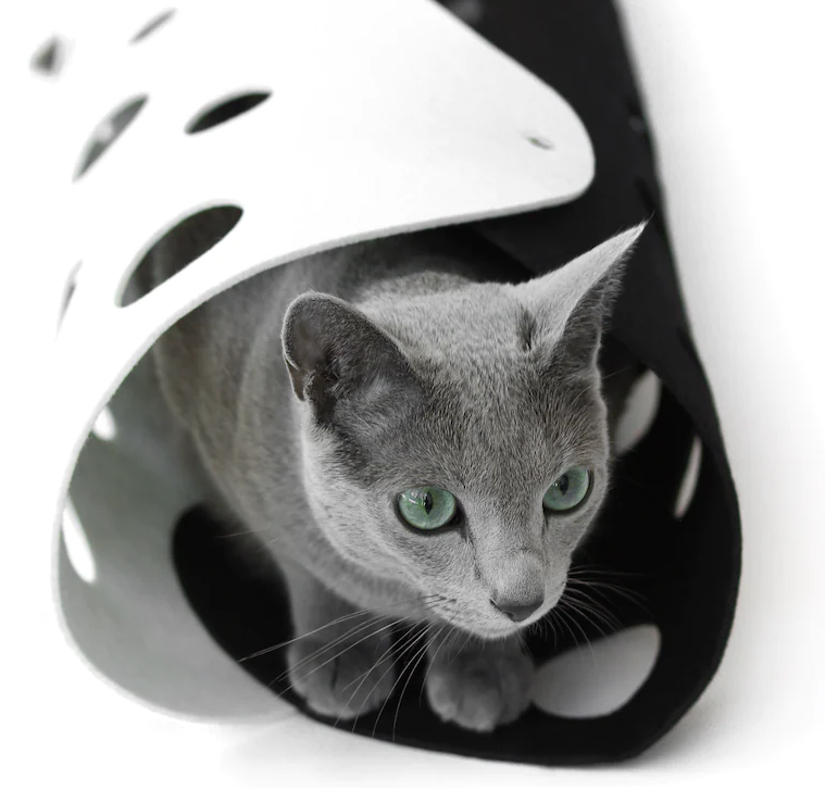 Lima Cat Tunnel– Pet Park Boulevard